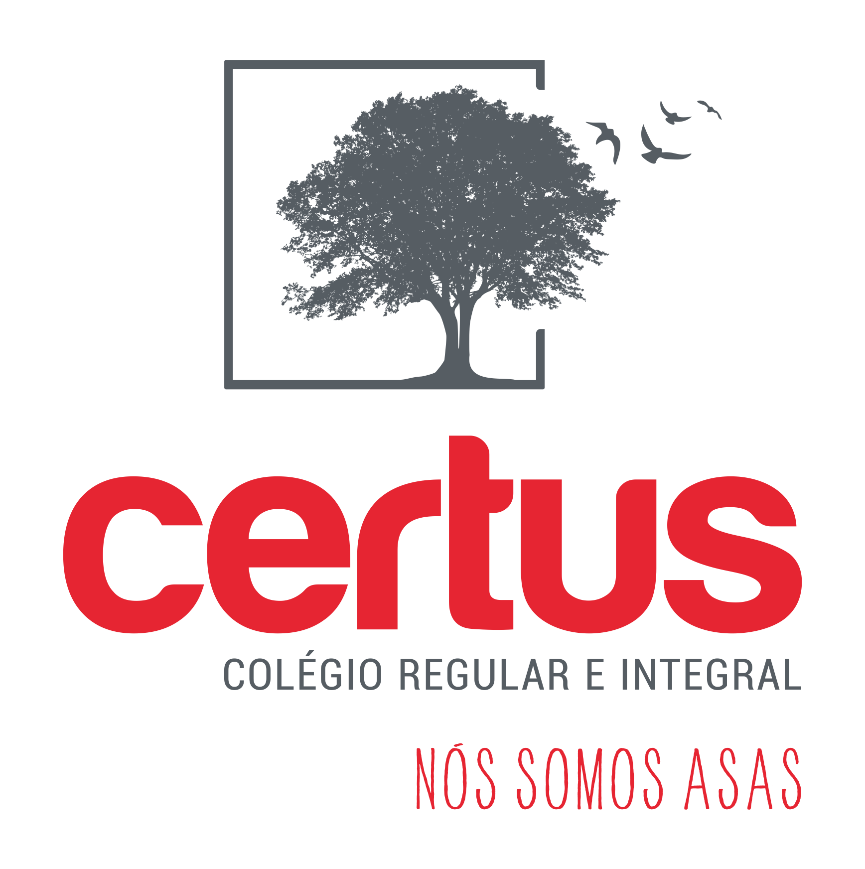 Arquivos Reciclagem - Colégio Certus